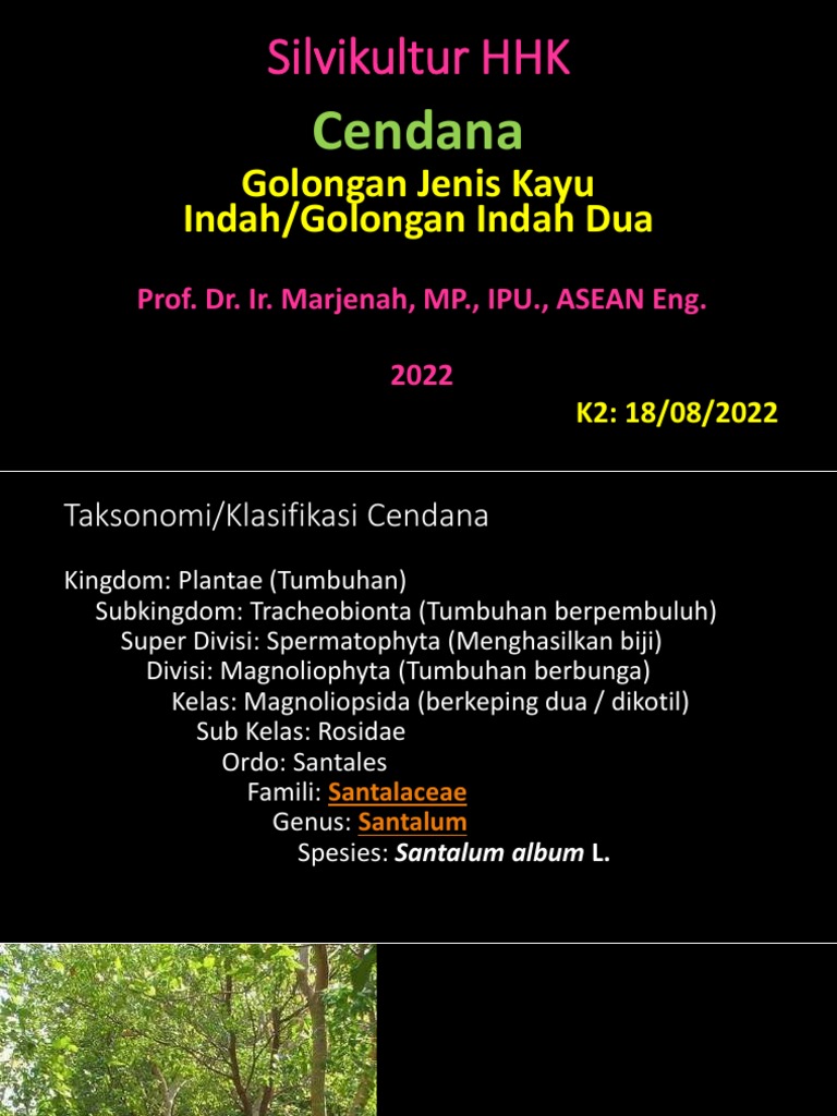Cendana | PDF