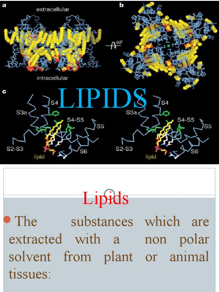 LIPIDS | PDF | Lipid | Triglyceride