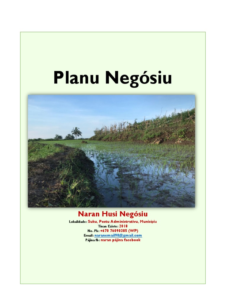Planu Negósiu | PDF