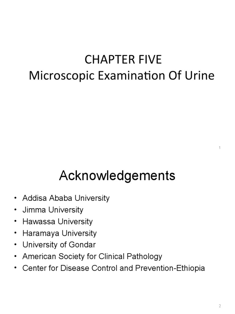 Urine Microscopy: Casts and Sediments | PDF | Kidney | Medical Specialties