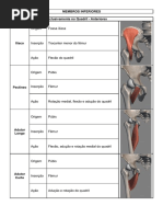 Musculos Quadril Tabela | PDF | Quadril | Anatomia dos membros inferiores