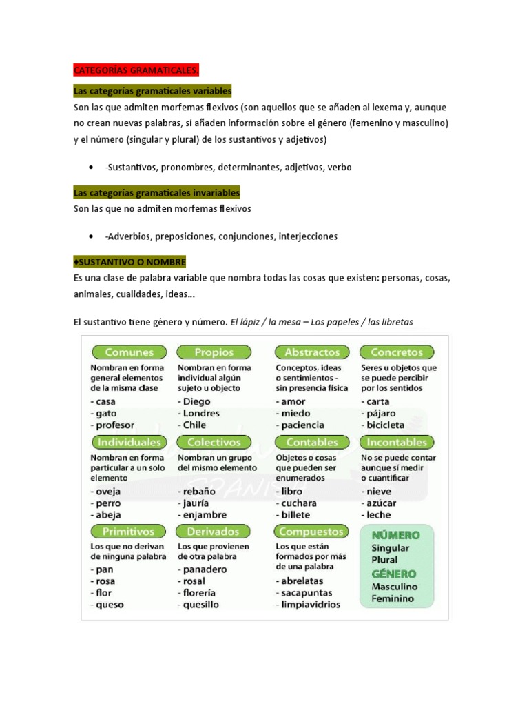 Categorías Gramaticales | PDF | Verbo | Sustantivo