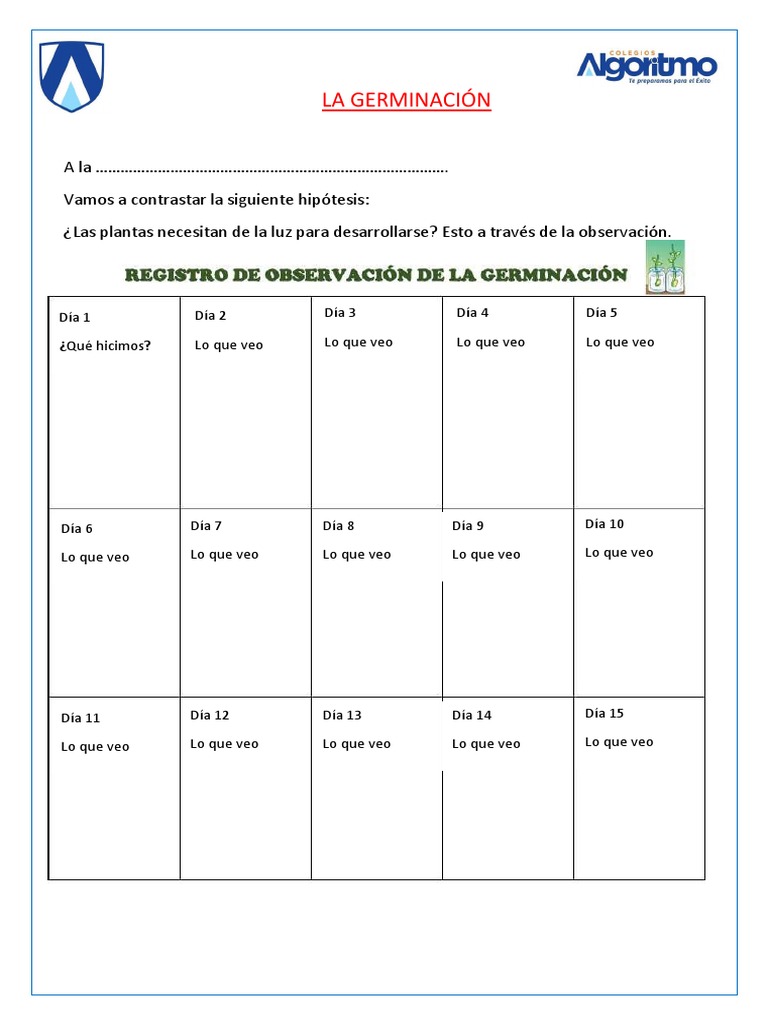 La Germinación. Ficha | PDF