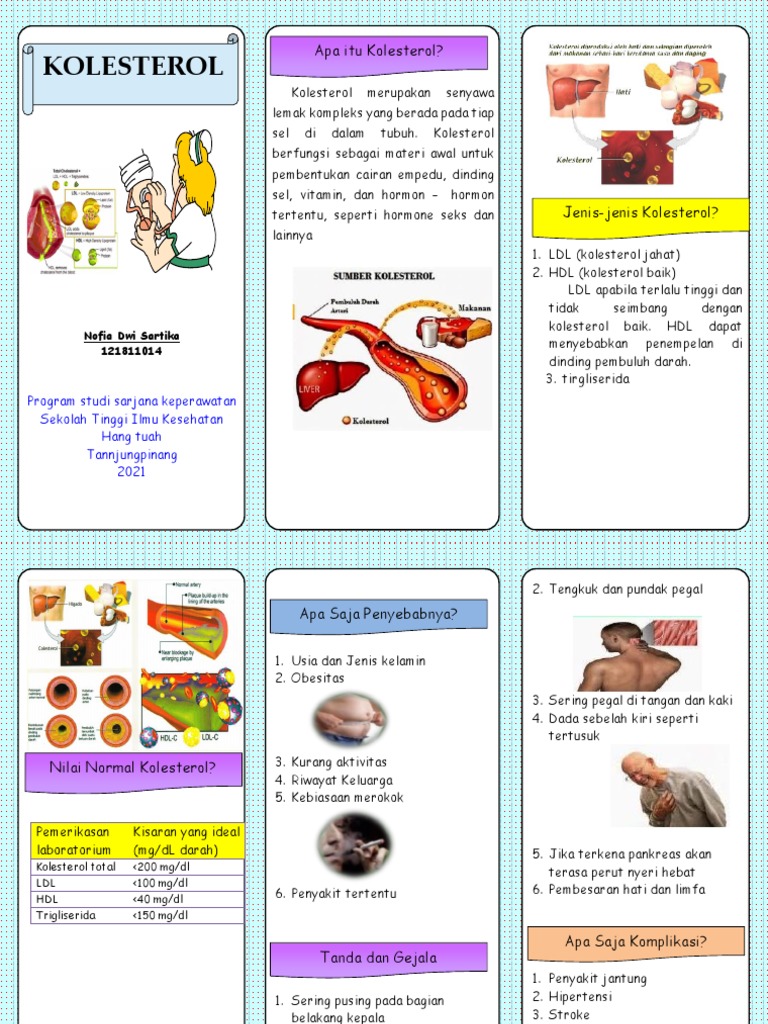 Leaflet Kolesterol | PDF