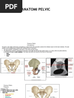 Trotter's Method for Managing Epistaxis | PDF | Clinical Medicine ...