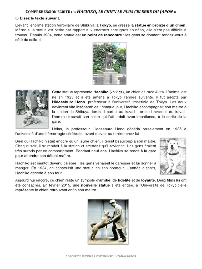 Hachiko : L'histoire d'un chien fidèle | PDF | Fiction générale