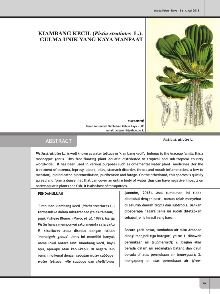 375-Article Text-717-1-10-20200801 | PDF