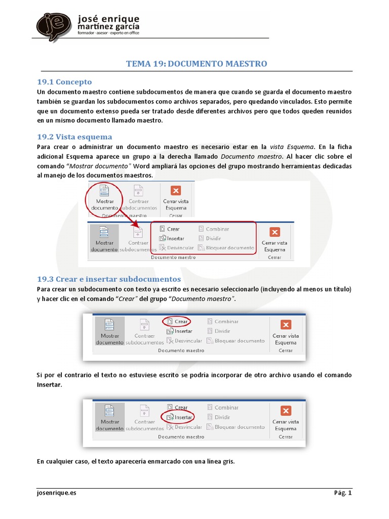 Tema19 Documento Maestro | PDF