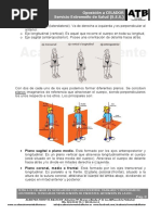 Términos de Relación, Comparación y Lateralidad de Anatomía | PDF ...