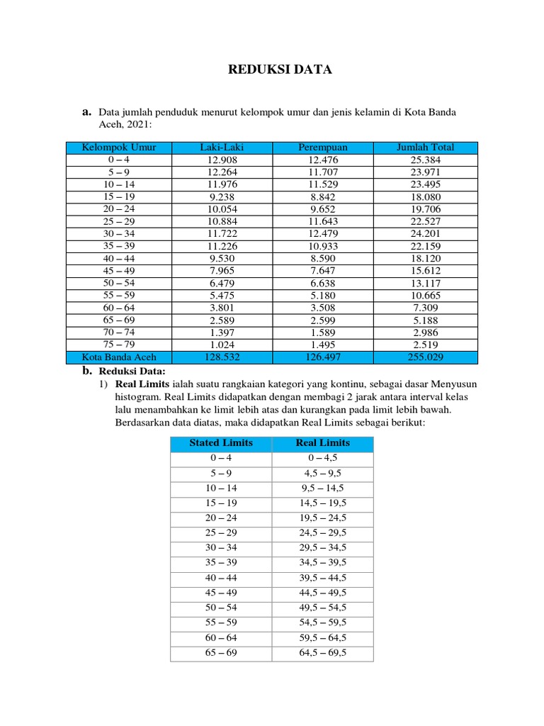 Reduksi Data | PDF