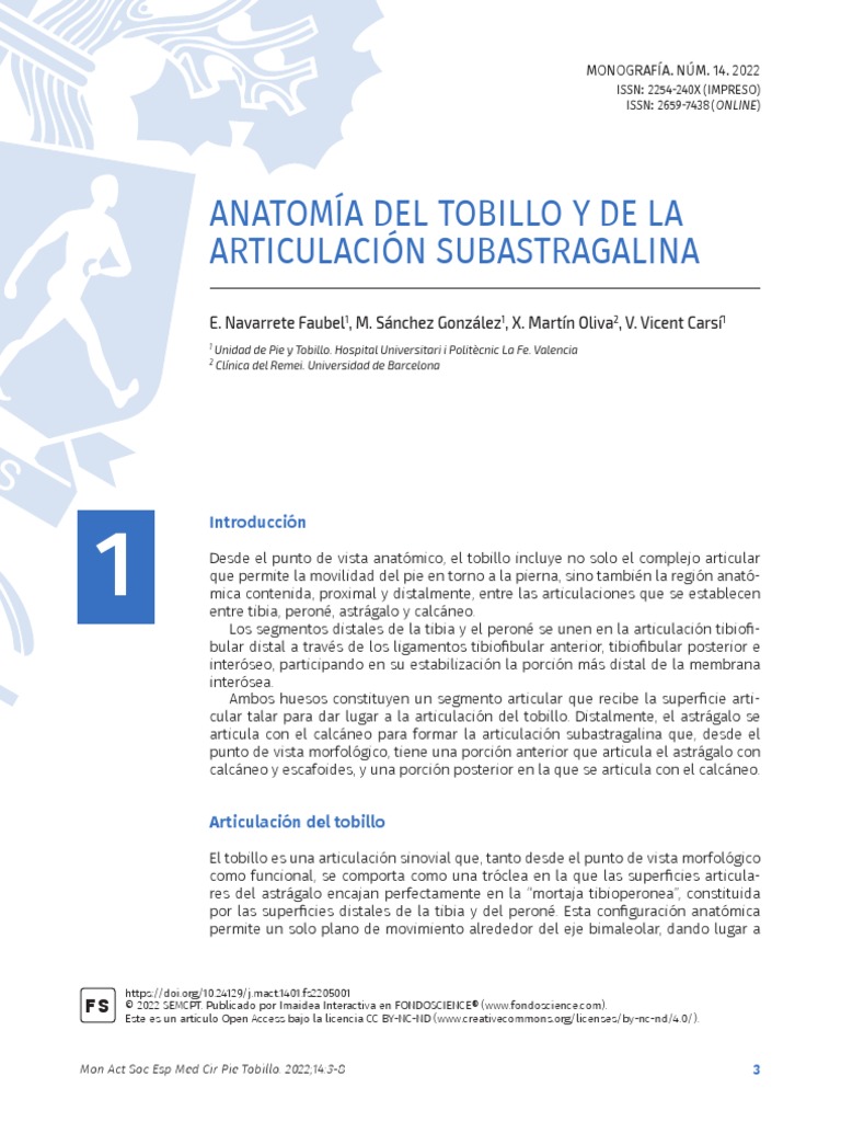 Anatomía de Tobillo y de La Articulación Subastragalina | PDF | Tobillo ...