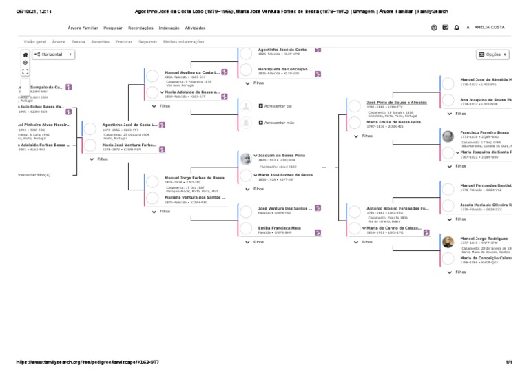 Agostinho José Da Costa Lobo (1879-1956), Maria José Ventura Forbes de ...