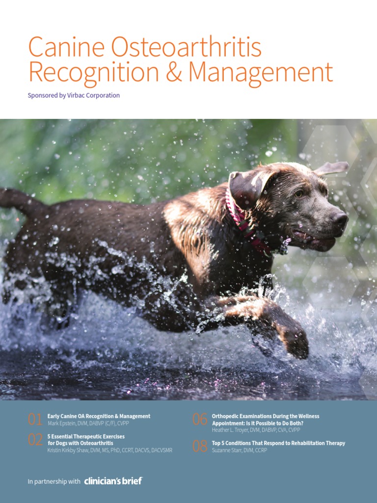 Canine OA Recognition and Management | PDF | Physical Therapy ...