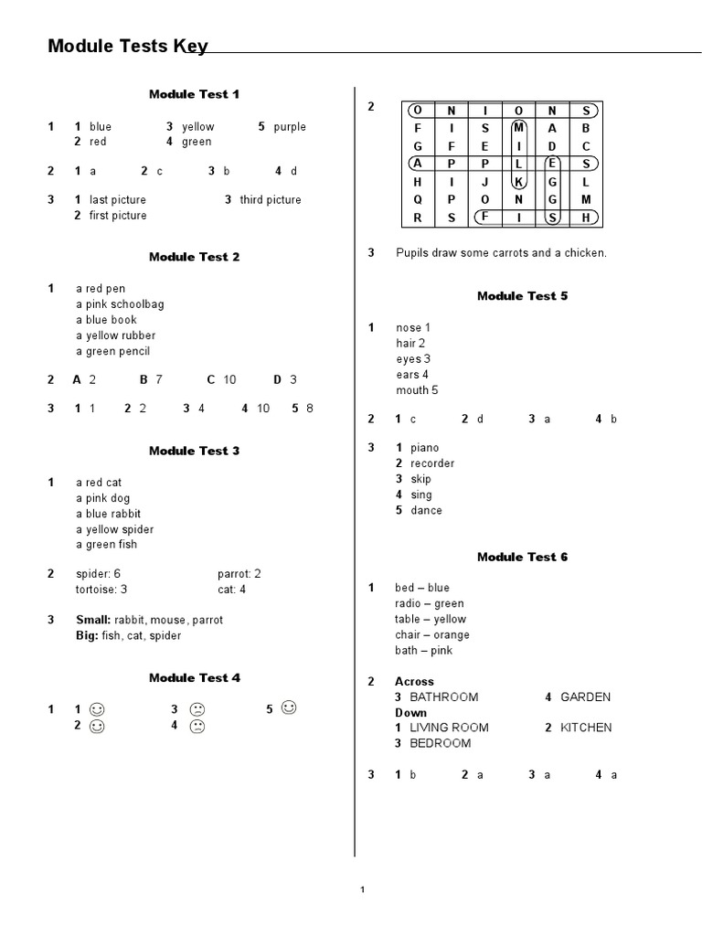 11 Smiles 1 Module Tests Key | PDF