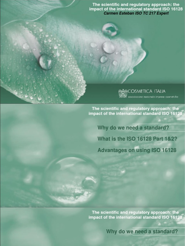 ISO 16128: Guidelines for Natural Cosmetics | PDF | Cosmetics ...