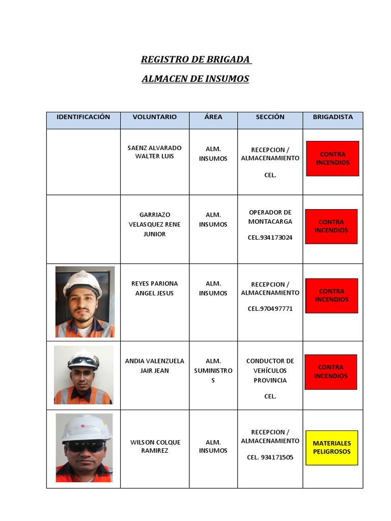 Conformacion de La Brigada | PDF
