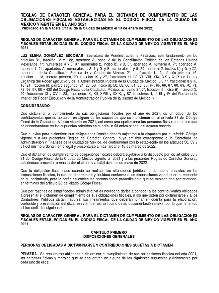 Reglas de Caracter General para Dictamen | PDF | Auditoría | Impuestos