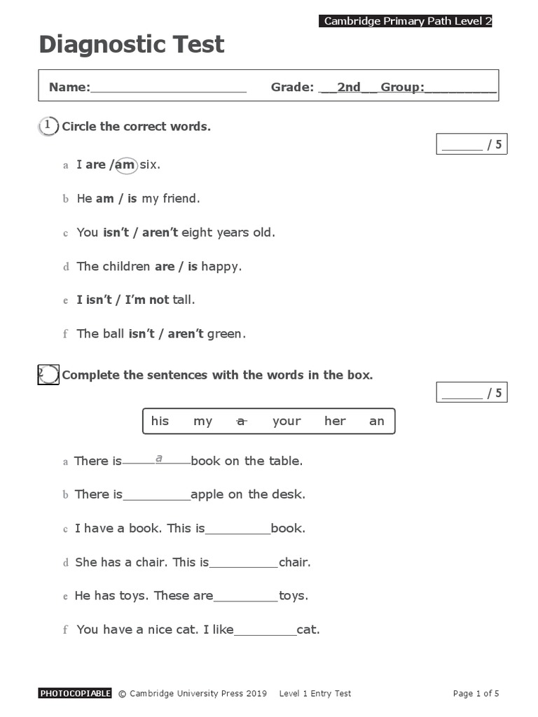 Diagnostic Test 2nd | PDF