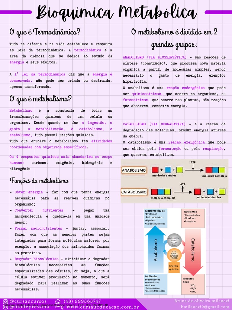 Resumo Bioquimica Metabólica Termodinamica | PDF | Trifosfato de ...