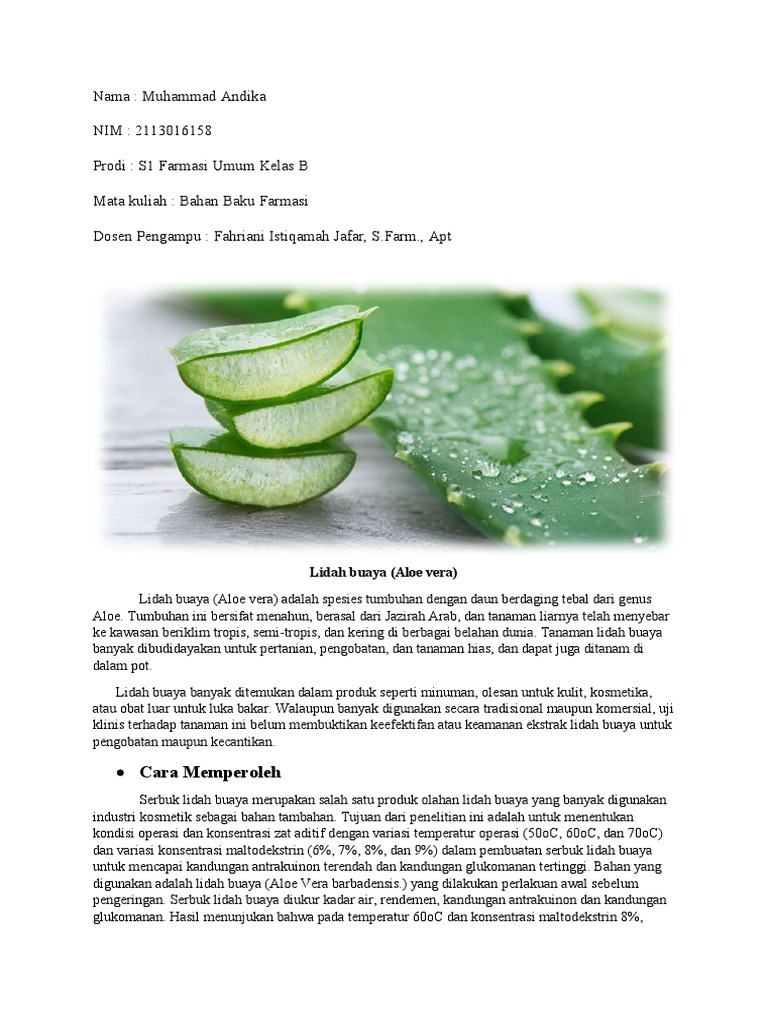 43-Muhammad Andika Yusli-BBF2 | PDF