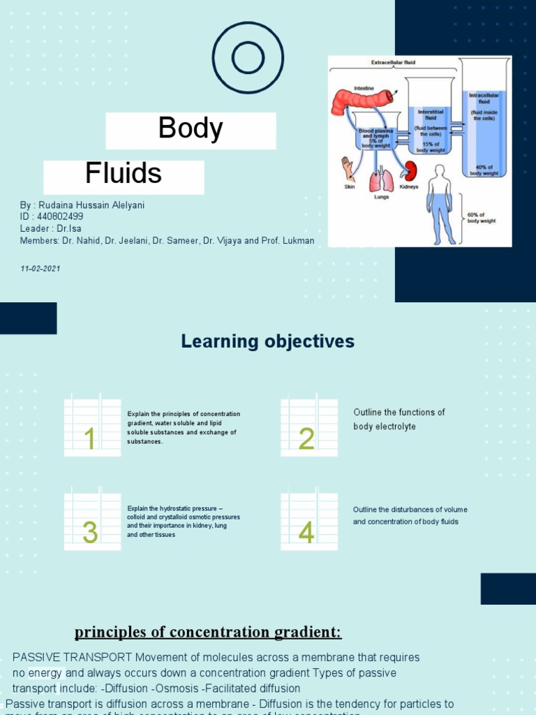 Rudaina Alelyani MEV Assignment3. | PDF | Edema | Kidney