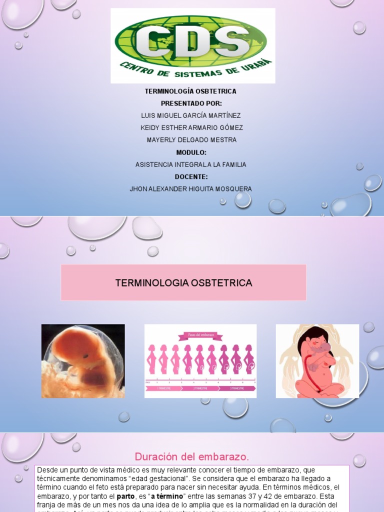 Diapositivas de Maye | PDF | Implantación (embrión humano) | Reproducción sexual