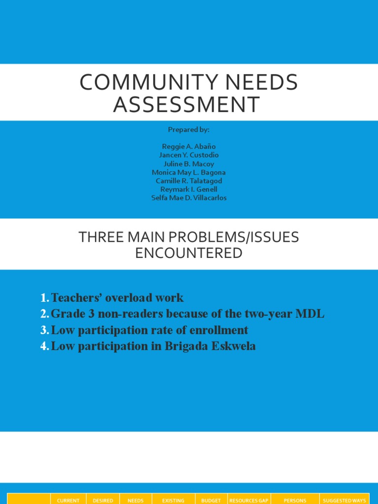 Community Needs Assessment | PDF
