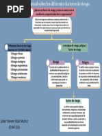 Mapa Conceptual | PDF | Riesgo | Estrés (biología)