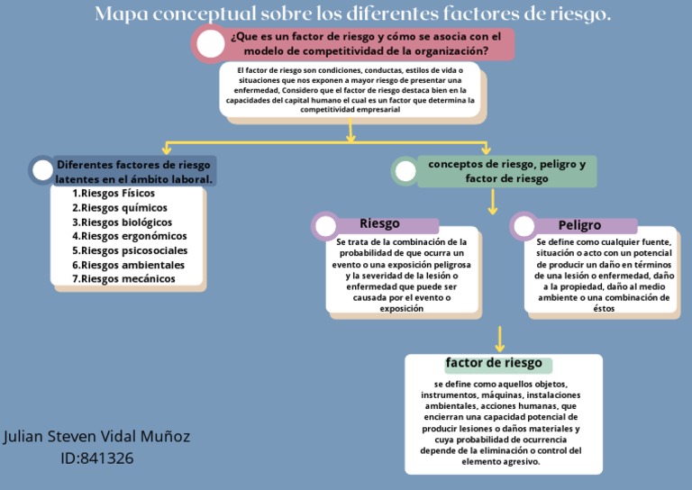 Mapa Conceptual Factores de Riesgo | PDF | Riesgo | Factor de riesgo