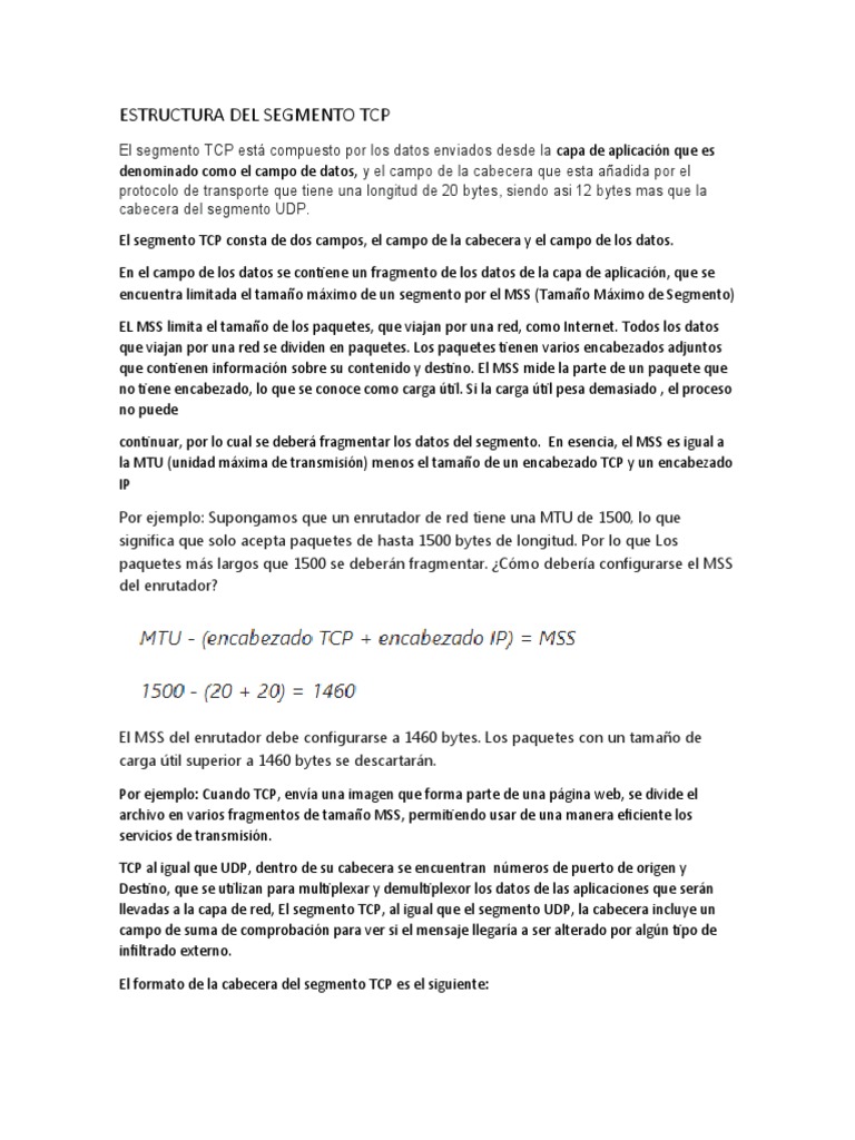 Estructura Del Segmento TCP | PDF | Protocolo de Control de Transmisión | Informática