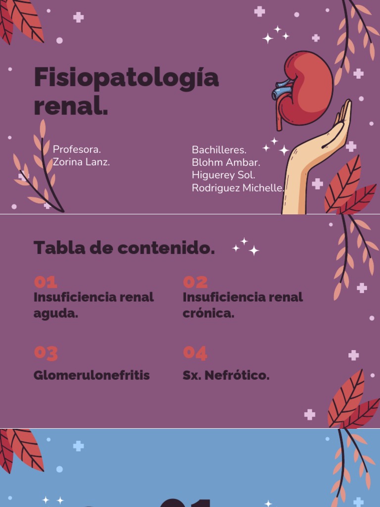 Fisiopatología Renal | PDF | Edema | Enfermedad renal crónica