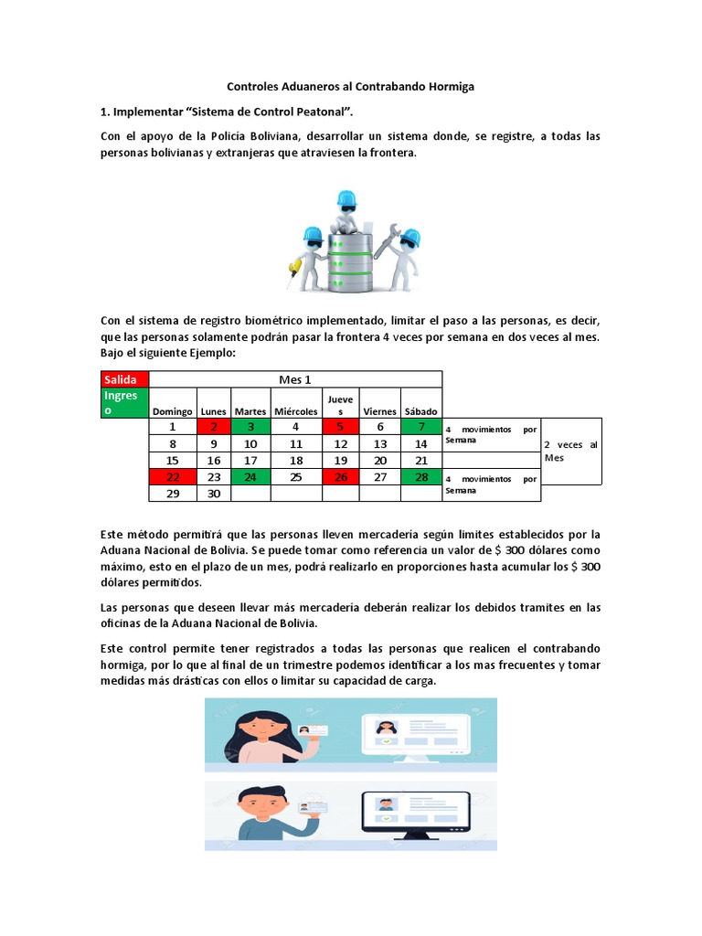 Controles Aduaneros Al Contrabando Hormiga | PDF | aduana | Bolivia