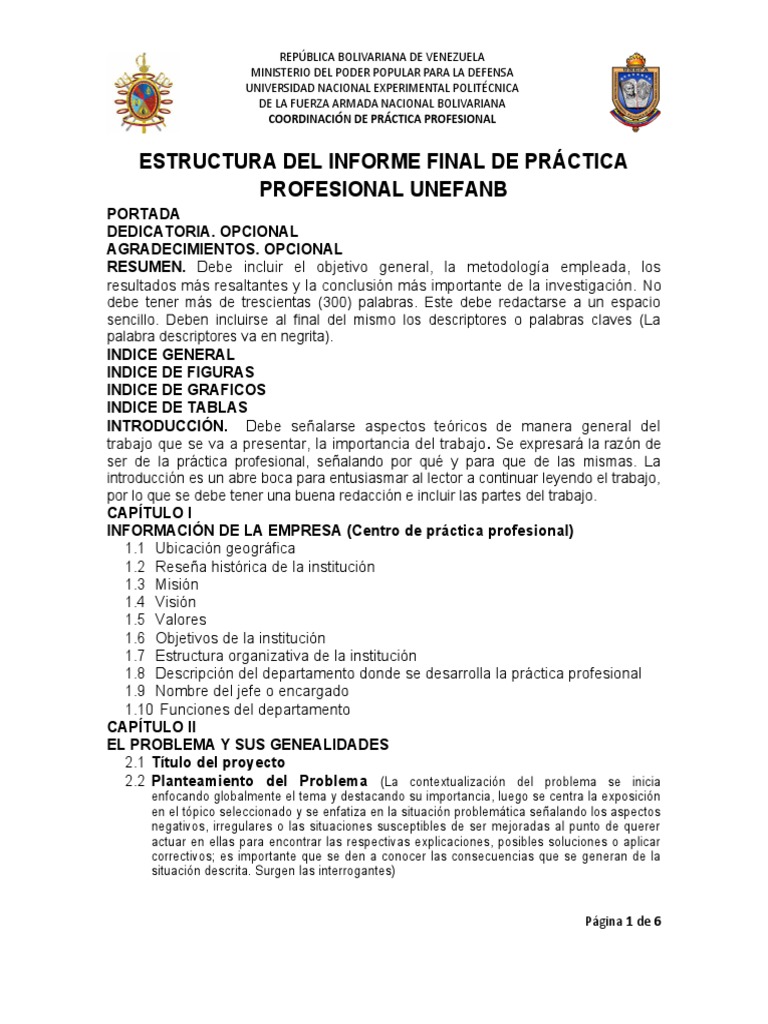 Estructura Del Informe Final de Practica Profesional Unefa | PDF