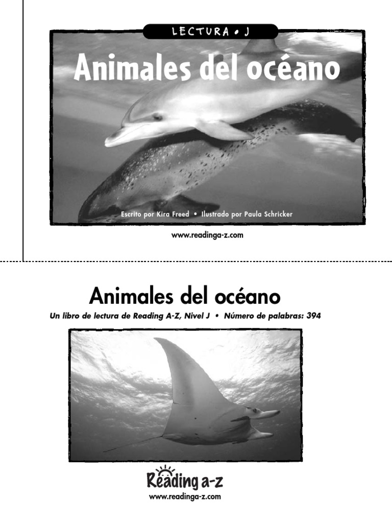 Comprensión 5 | PDF | Tiburones | Pulpo