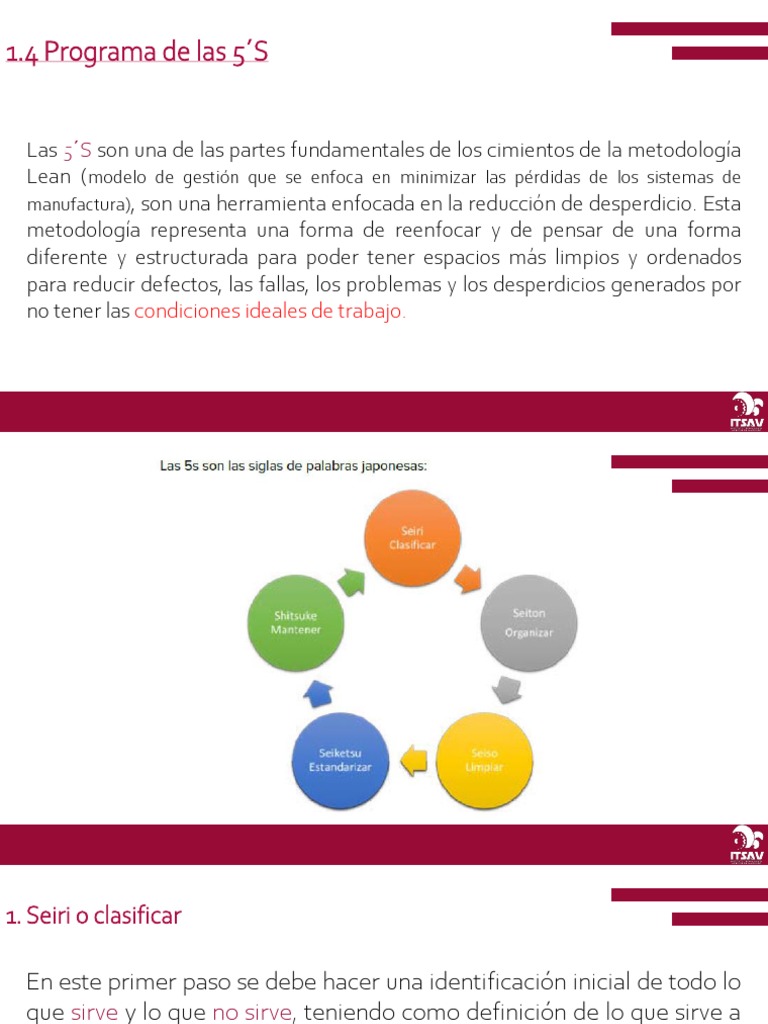 1.4 Programa de Las 5 S | Descargar gratis PDF | Lean Manufacturing | Informática