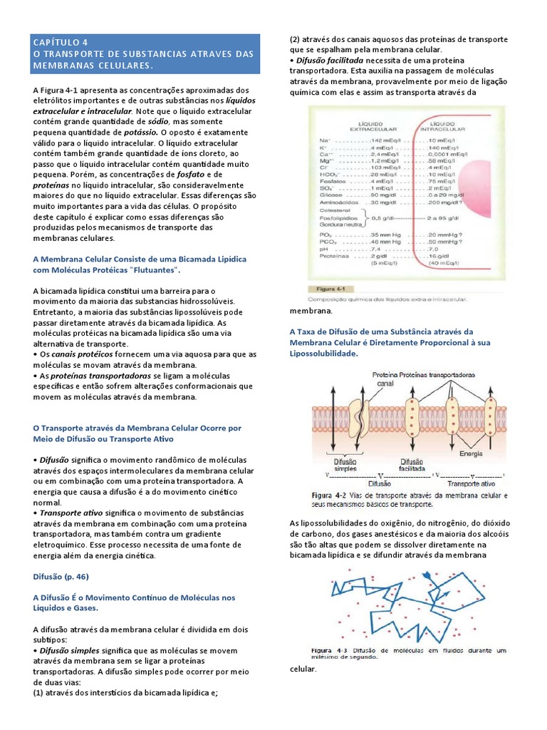 Capítulo 4 Resumo Fisiologia Guyton | PDF | Membrana celular | Osmose