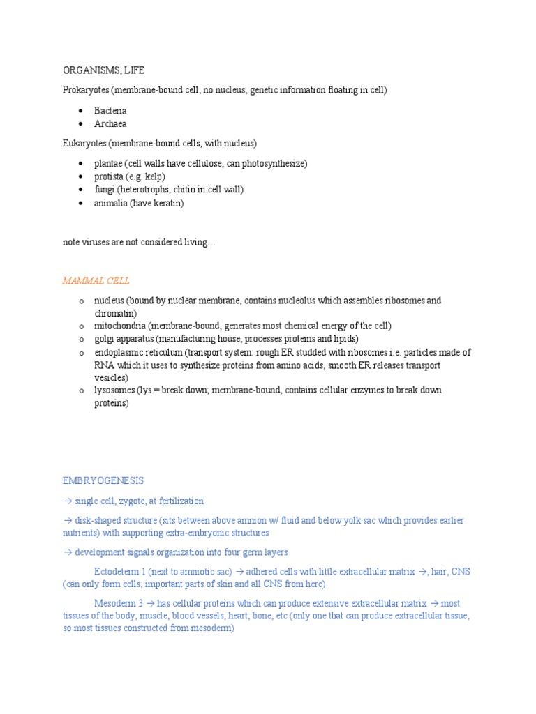 Bmen 309 (anatomy & physiology for engineers) Notes | PDF | Vertebra ...