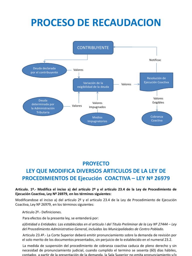 Proceso de Recaudacion | PDF | Virtud | Información del gobierno