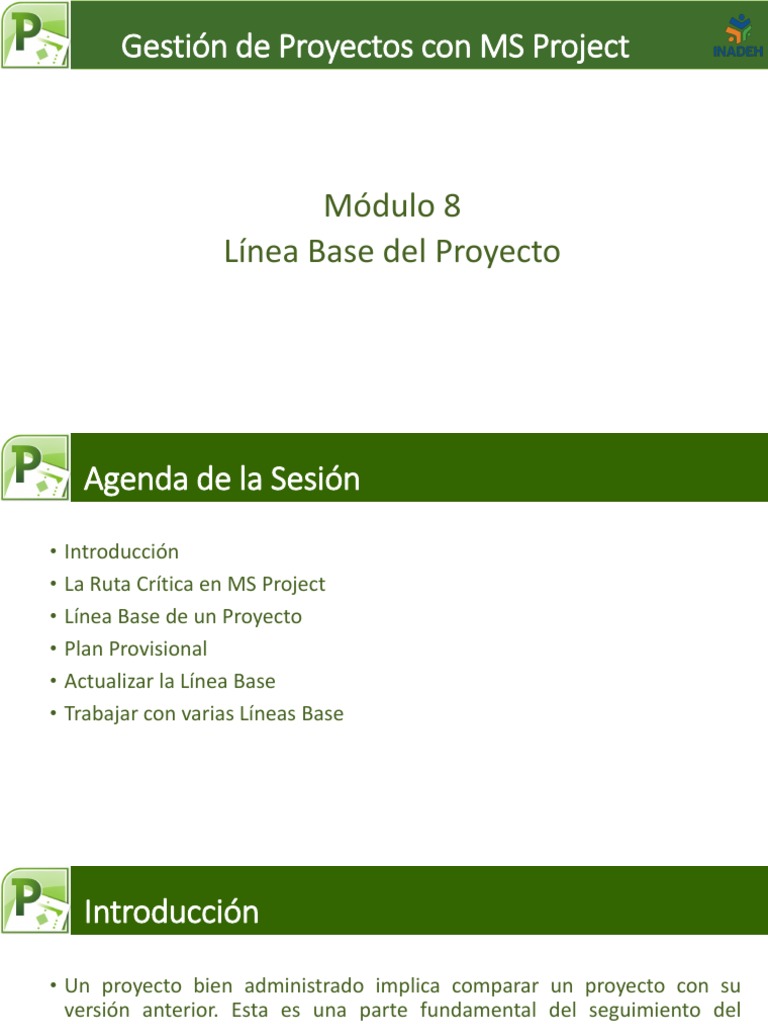 Módulo 8 - Línea Base Del Proyecto | Descargar gratis PDF | Informática
