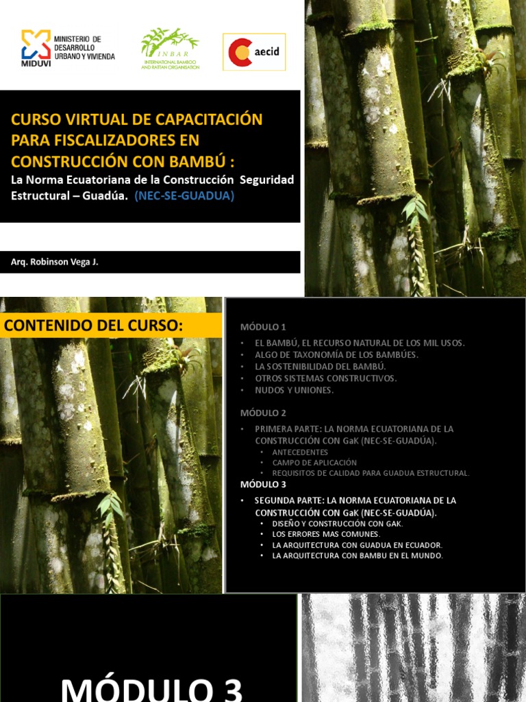 Bambu 1 | PDF | Tornillo | Madera