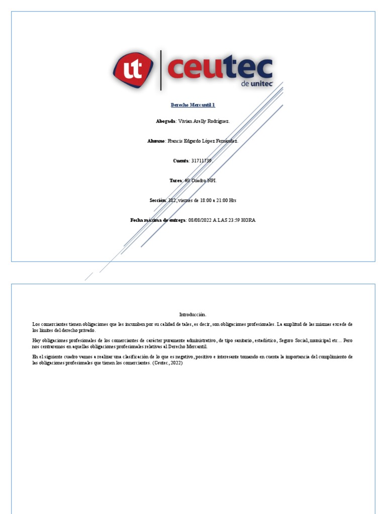 Cuadro NPI en Derecho Mercantil | PDF | Contabilidad | Auditoría