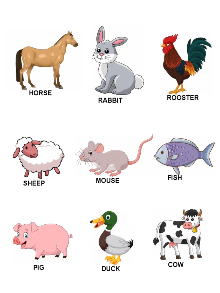 Animals | PDF