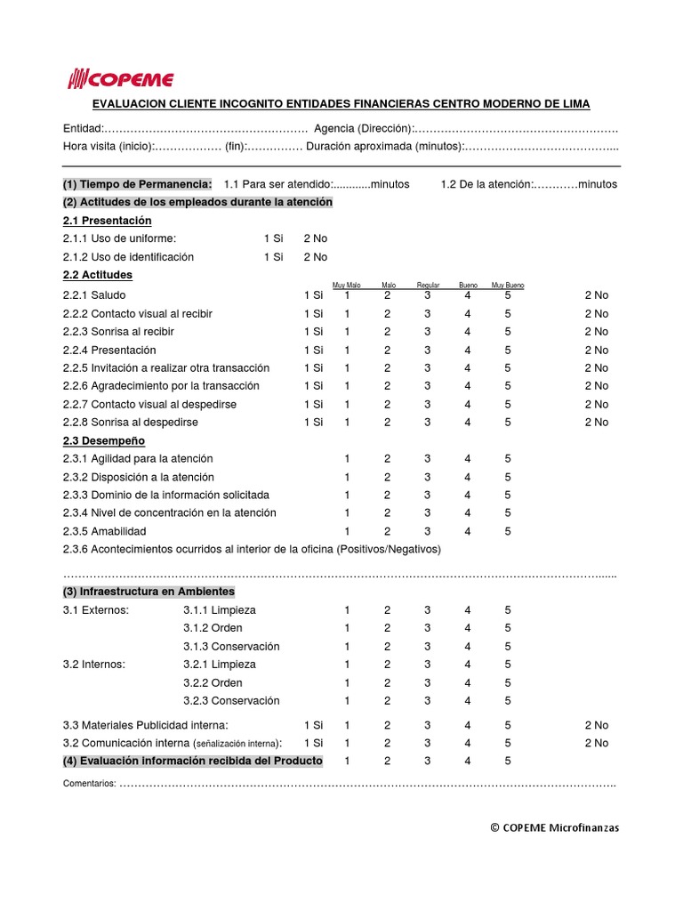 04 Modelo Guía Cliente Incógnito - Jorge Meza | PDF