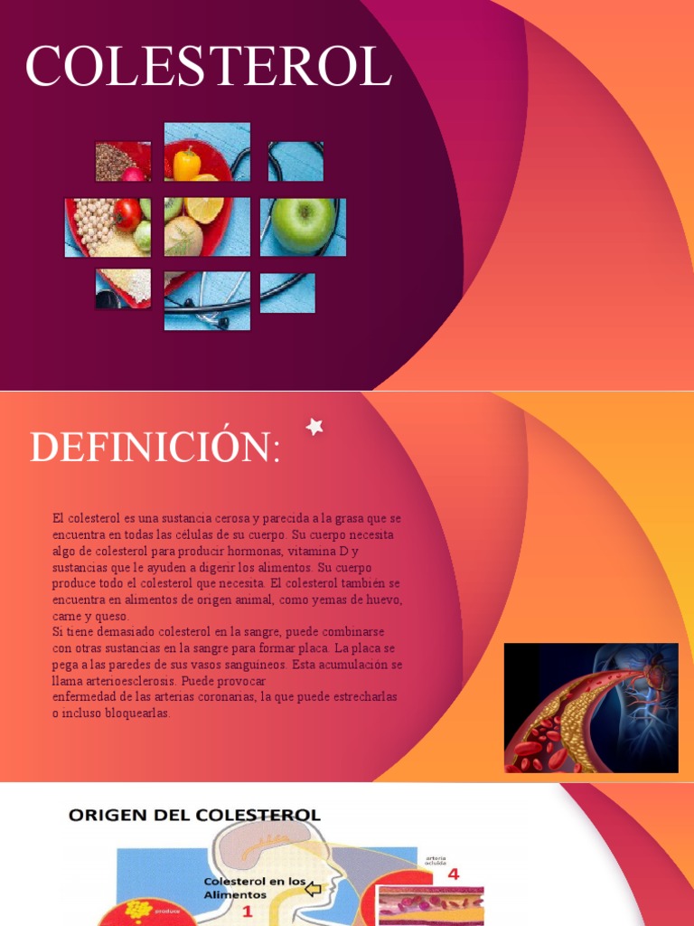 Colesterol | PDF | Colesterol | Lipoproteína