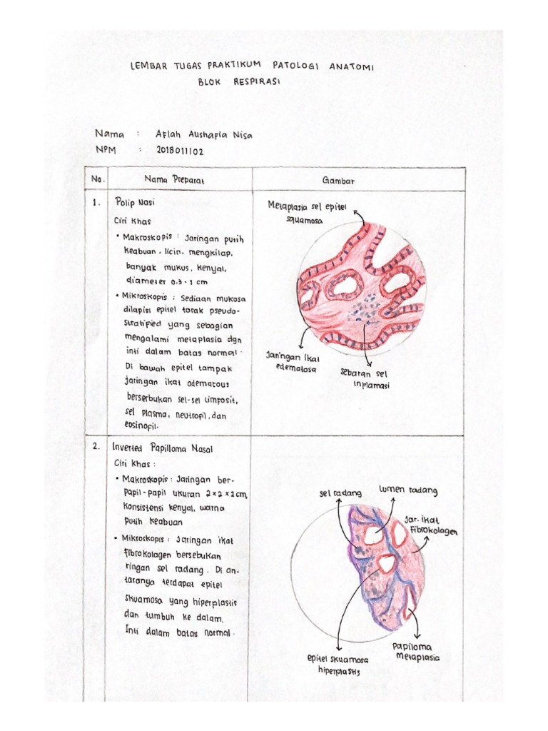 Praktikum PA Blok Respi | PDF