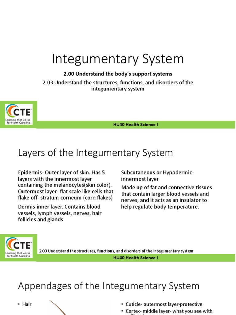 2.03 Structures, Functions, and Disorders of The Integumentary System C ...