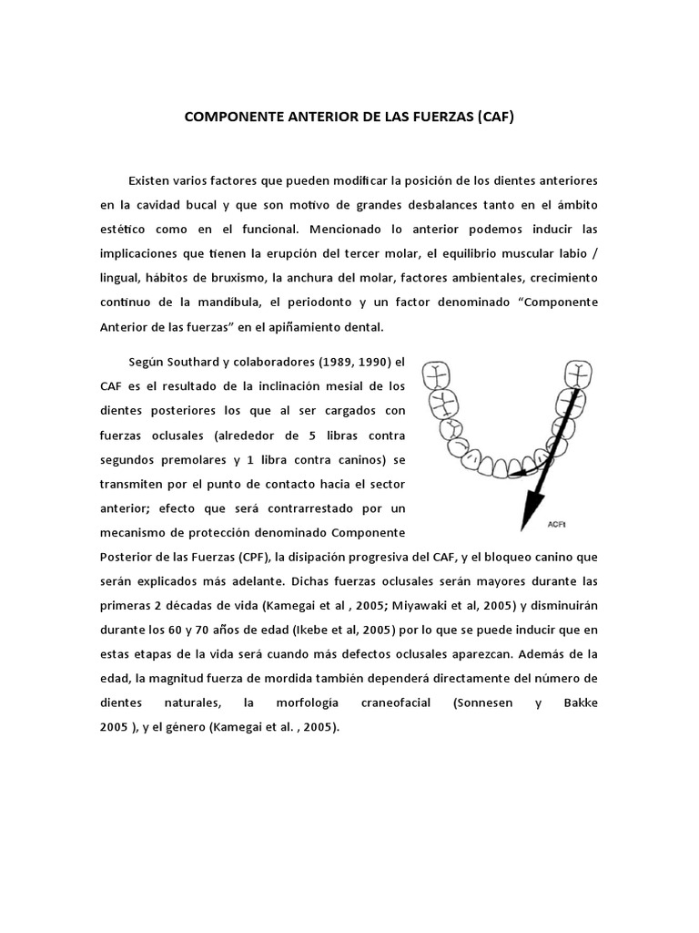 Componente Anterior de Las Fuerzas | PDF | Diente | Anatomia dental