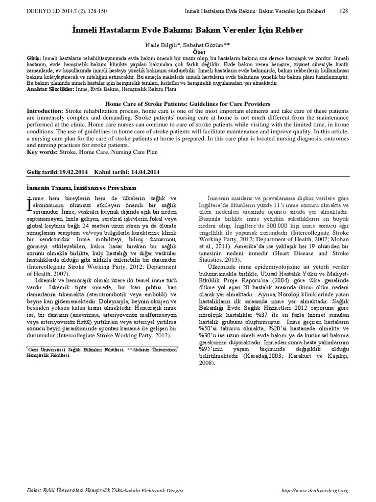 Inmeli Hastalarin Evde Bakimi Bakim Verenler Icin Rehber | PDF