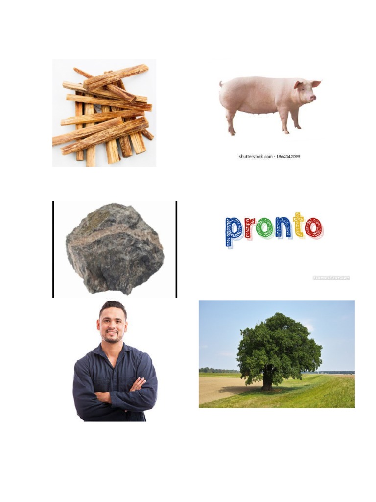 Imagenes Abecedario Kiche | PDF