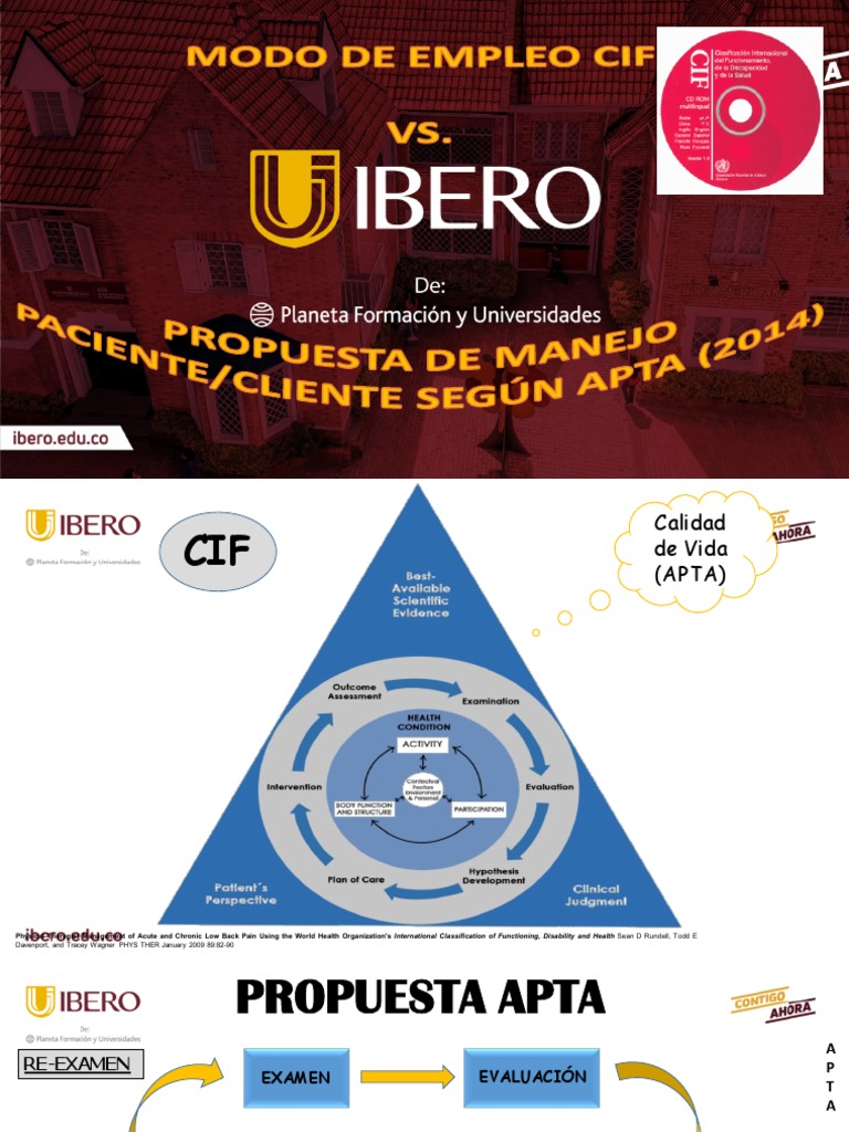 Cif Apta | PDF | Invalidez | Terapia física